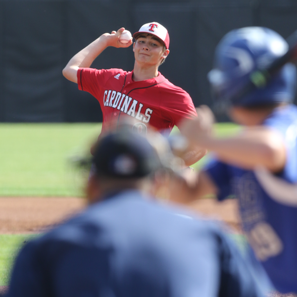 2019 Baseball Tournament Series Brackets in All Divisions Available